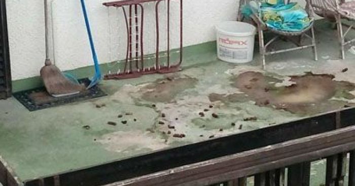 VIDEO: Tako grozljivo izgleda balkon poslanke, ki se VIDEO: Tako grozljivo izgleda balkon poslanke, ki se