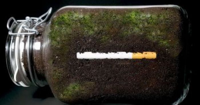 Kaj se zgodi s cigareto v zemlji po enem letu? | Klip.si