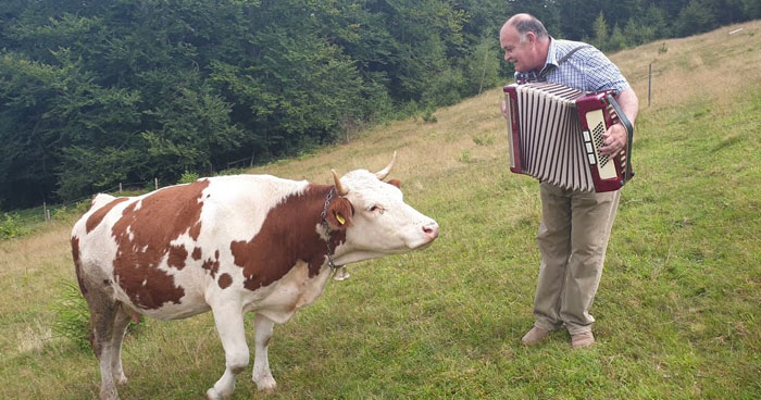 Romun za krave zaigral na harmoniko: Posnetek ima 15 milijonov ogledov ...